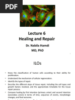 FNAC Procedure and Cytotechnologist Role | PDF | Cytopathology ...