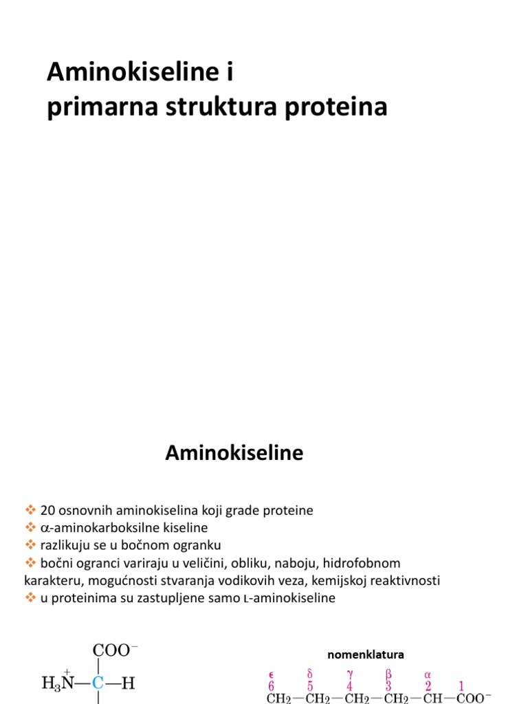 Primarna Struktura Proteina | PDF