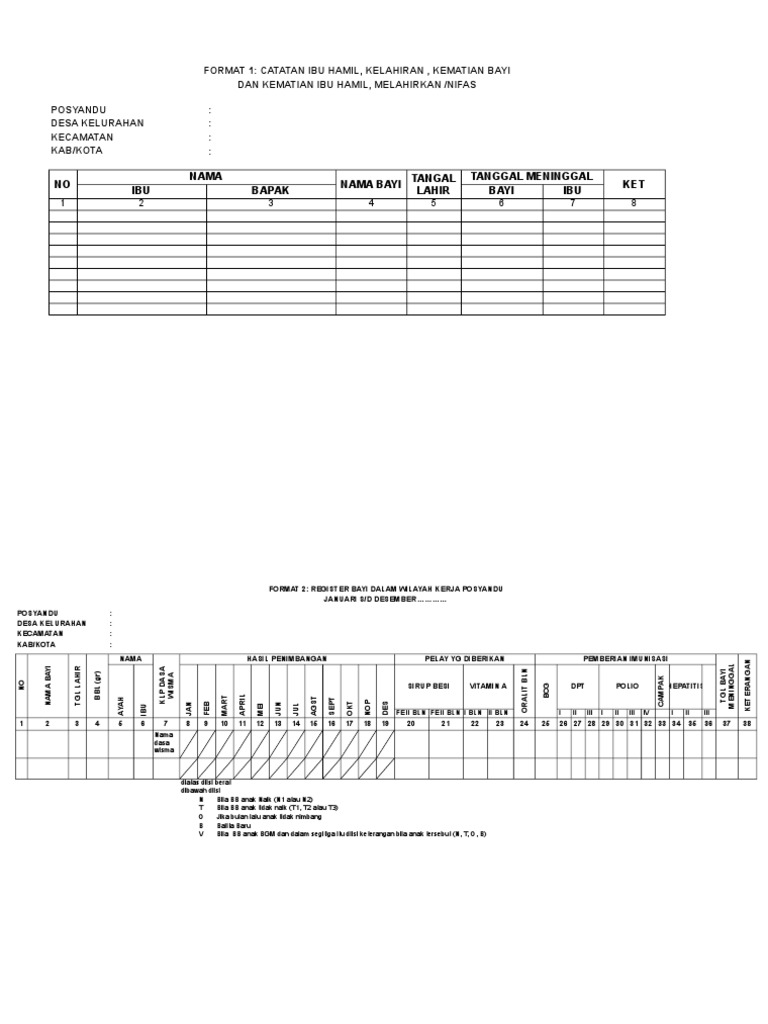 Format Posyandu | PDF