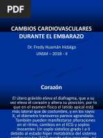 Efecto Poseiro | PDF | Placenta | Feto