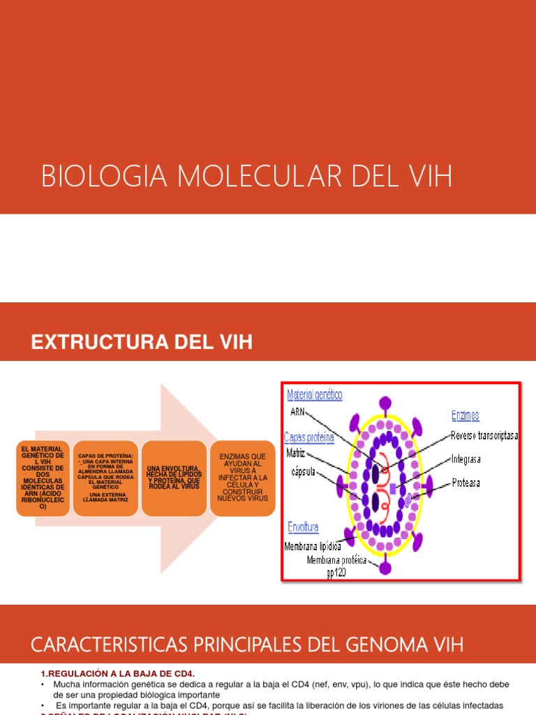 Biologia Molecular Del Vih | PDF | VIH | La transcriptasa inversa