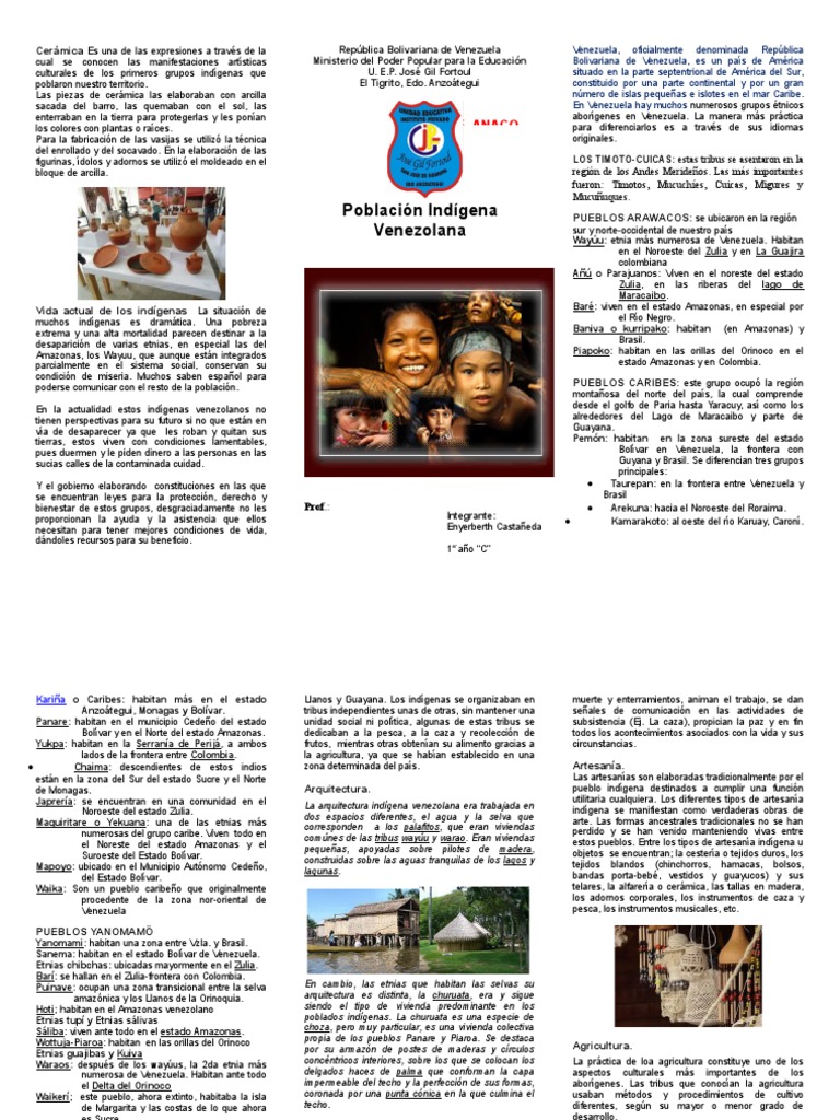 Triptico Indigenas Vzlanos Pdf Venezuela Gente Indígena