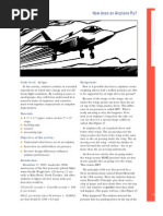 Paper Airplane Flight Experiment Report | PDF | Experiment | Scientific ...