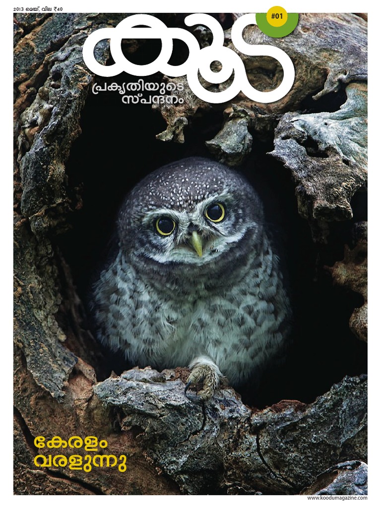 01 Koodu Magazine - 2013 05 | PDF