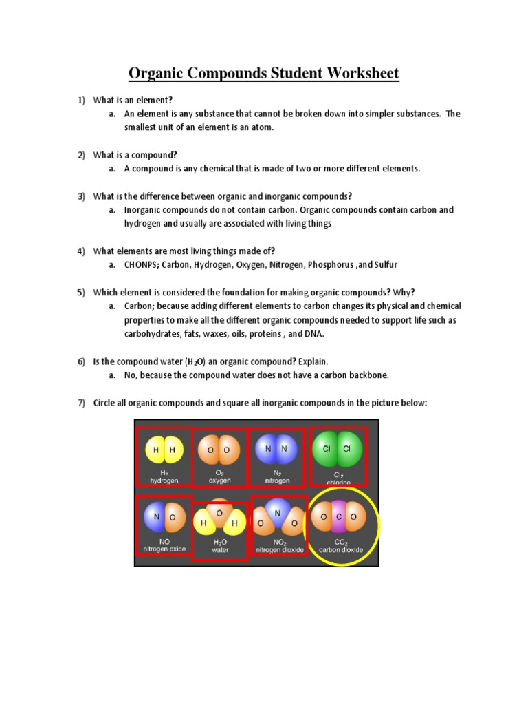 Organic Compounds Student Worksheet - Teacher Key | PDF | Organic ...