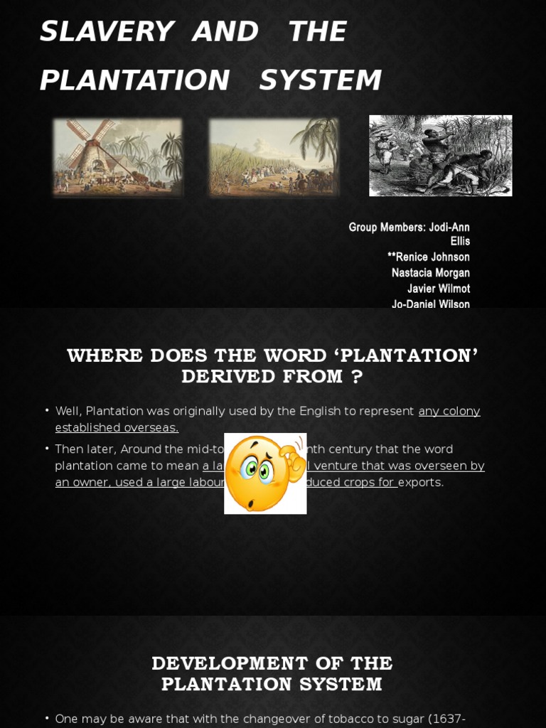 Slavery and The Plantation System | PDF | Sugarcane | Plantation