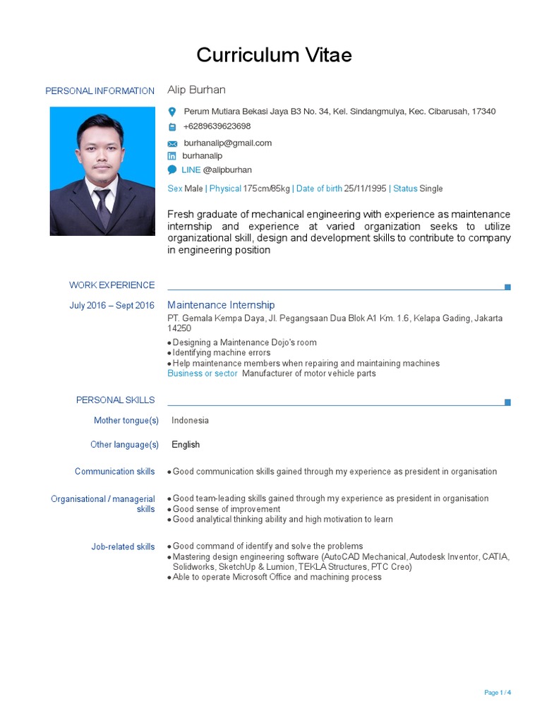 Curriculum Vitae: Alip Burhan | PDF | Science And Technology | Cognitive Science
