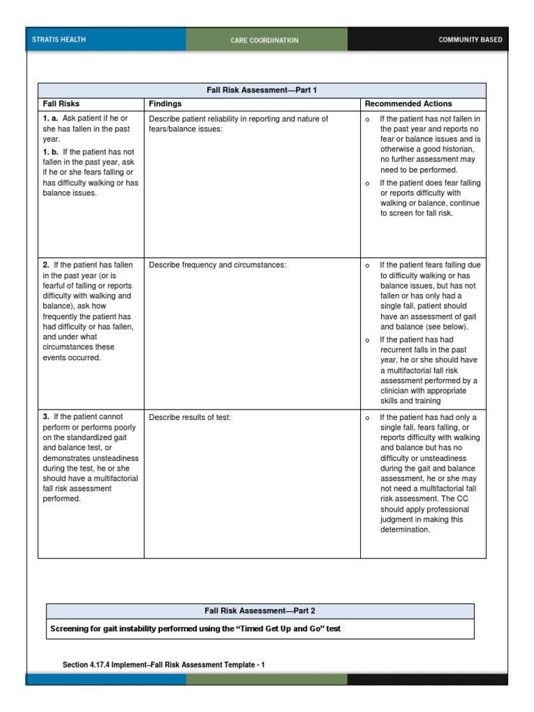 4 Fall Risk Assessment Template | PDF | Risk Assessment | Risk