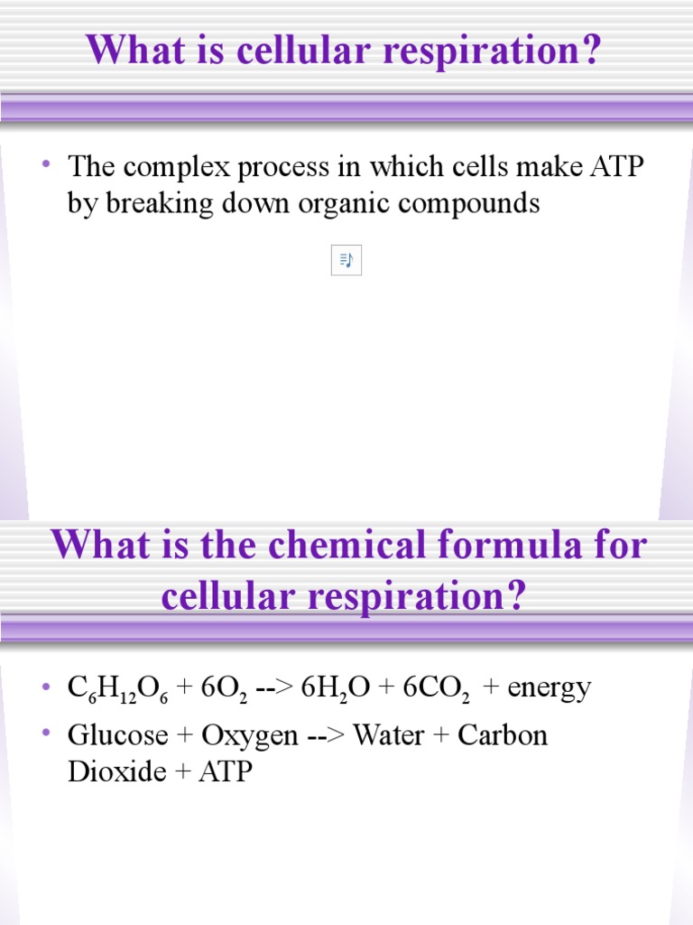 What Is Cellular Respiration?: The Complex Process in Which Cells Make ...