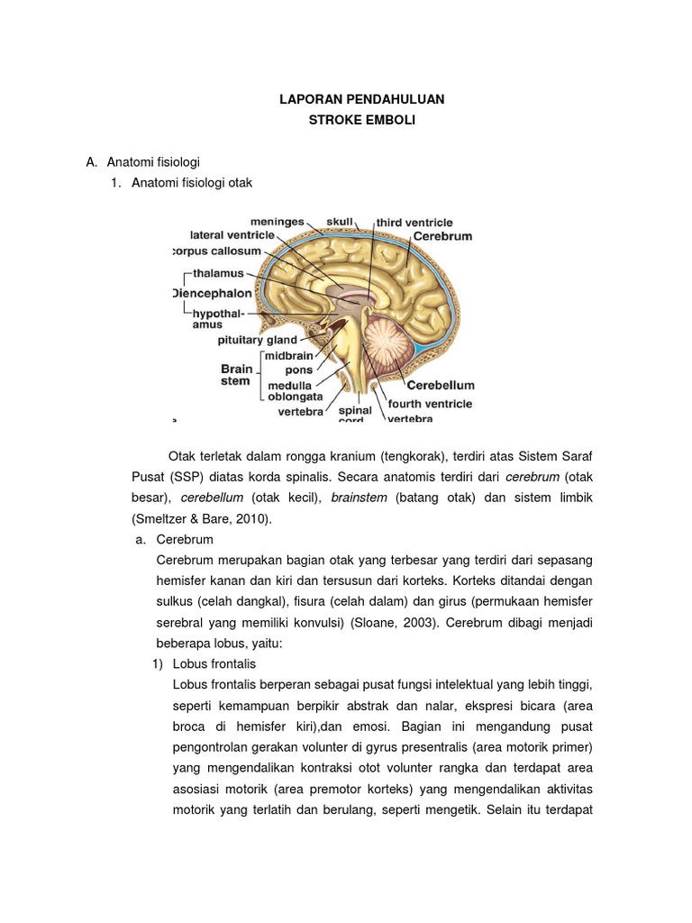 LP Stroke Emboli | PDF