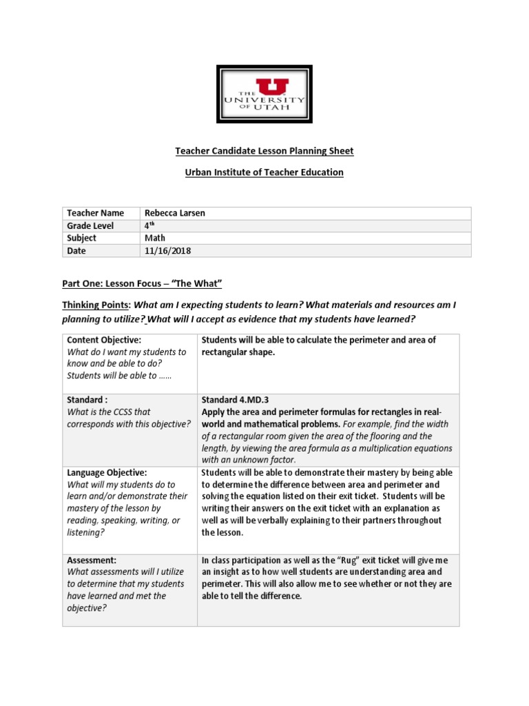11-16 Math Lesson Plan Perimeter | PDF | Area | Understanding