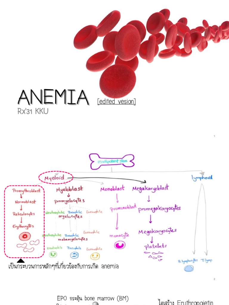 Anemia RX 31 - Edited Version PDF | PDF