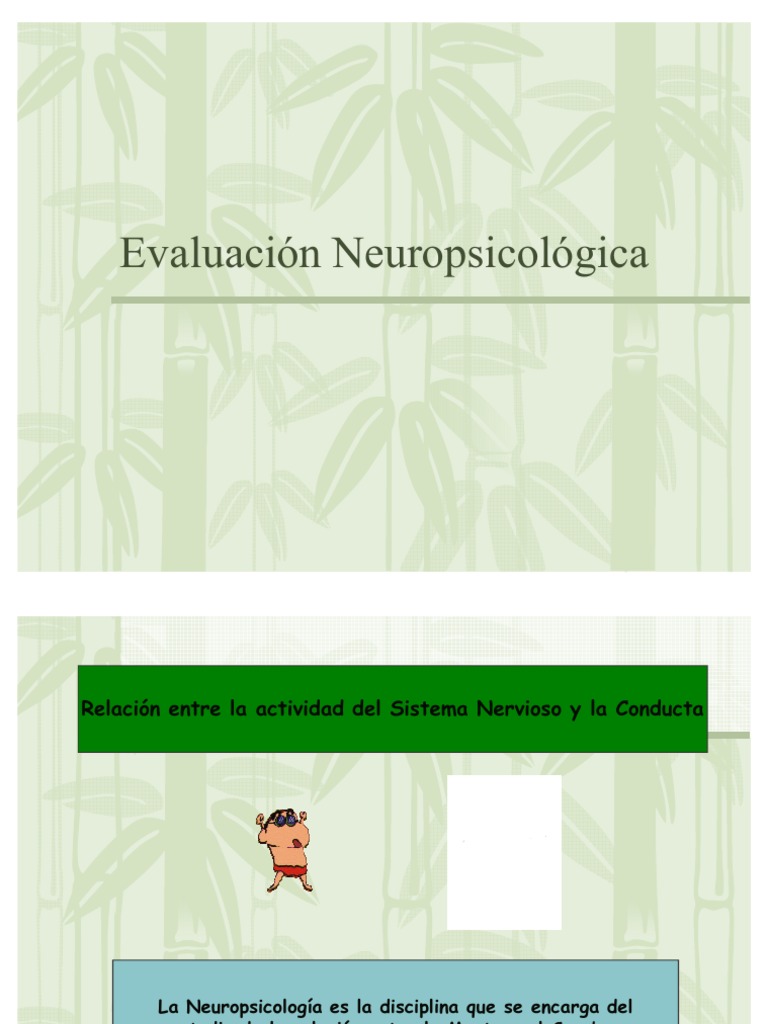 Evaluaci N Neuropsicol Gica | PDF
