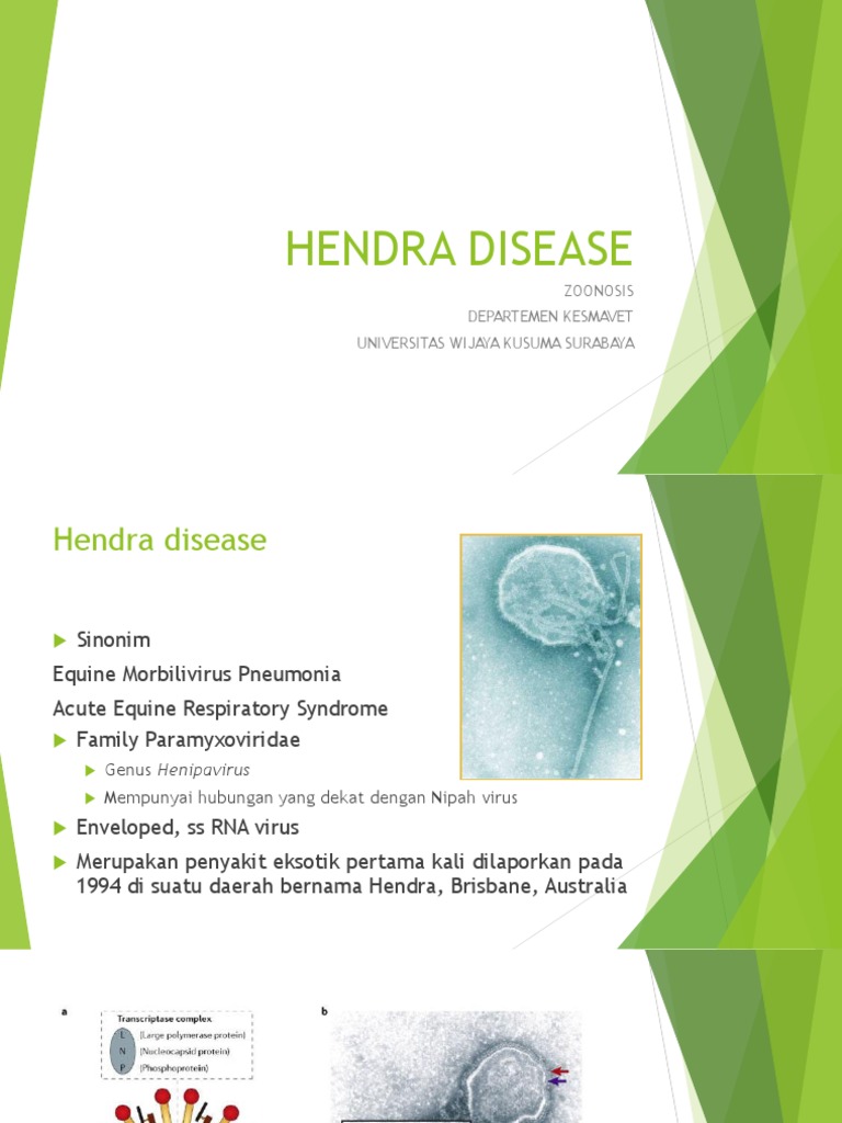 Hendra Disease | PDF