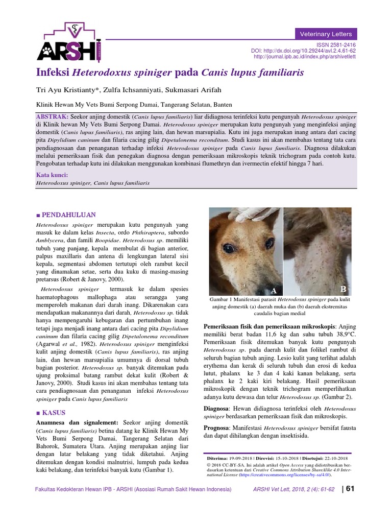 Infeksi Heterodoxus Spiniger Pada Canis Lupus Fami | PDF