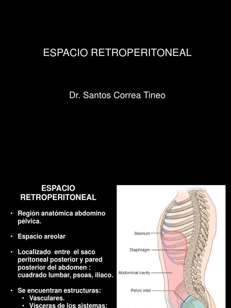 Anatomía del Espacio Retroperitoneal | PDF | Riñón | Abdomen