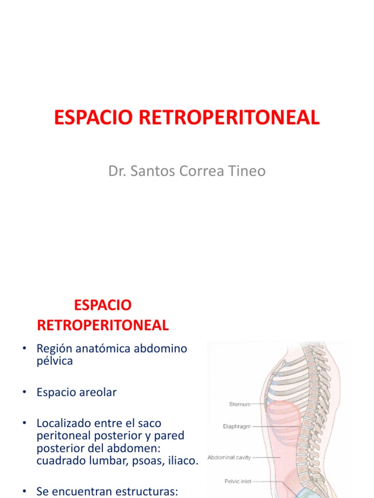 5.espacio Retroperitoneal | PDF | Riñón | Abdomen