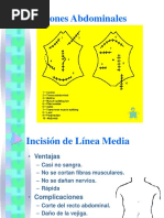 Incisión Rocky Davis | PDF | Medicina CLINICA | Anatomía