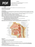 Anatomia Faringe Si Laringelui LP5 | PDF