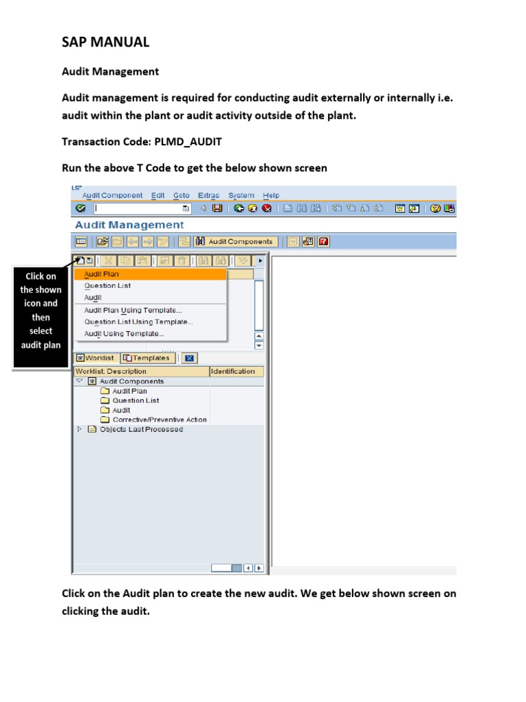 SAP Audit Management | PDF | Audit | Information Technology Management