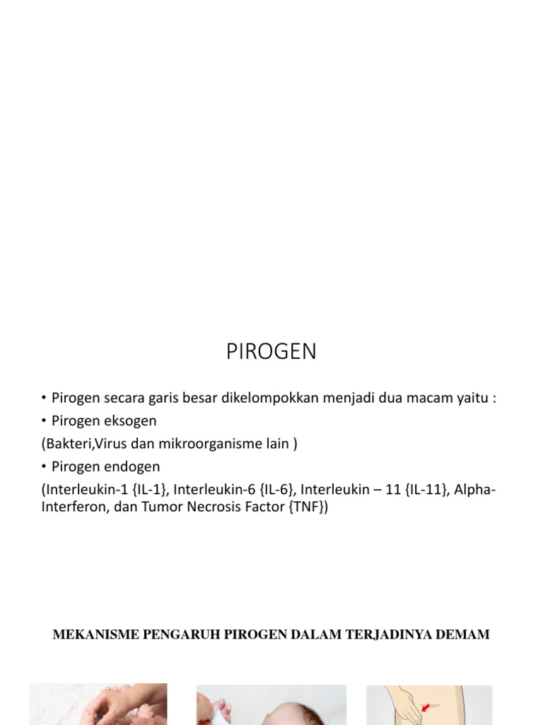 Pirogen | PDF