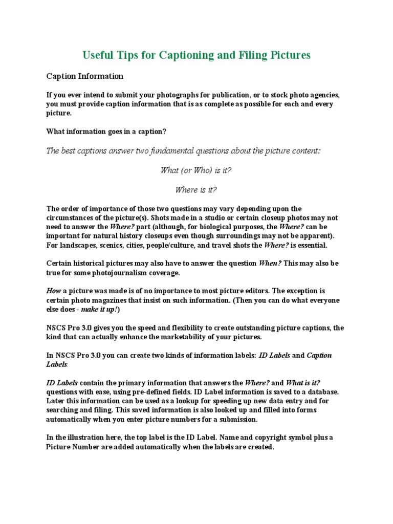 Useful Tips For Captioning and Filing Pictures | PDF | Computer File ...