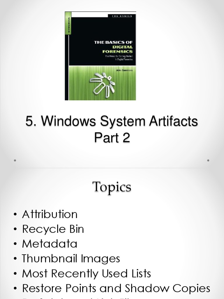 Windows System Artifacts | PDF | Computer File | Windows 7