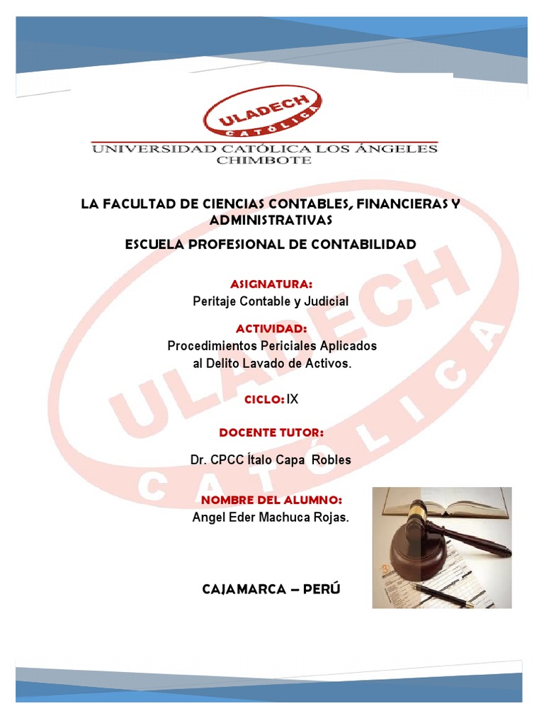 Procedimientos Periciales en Lavado de Activos | PDF | Testigo experto ...