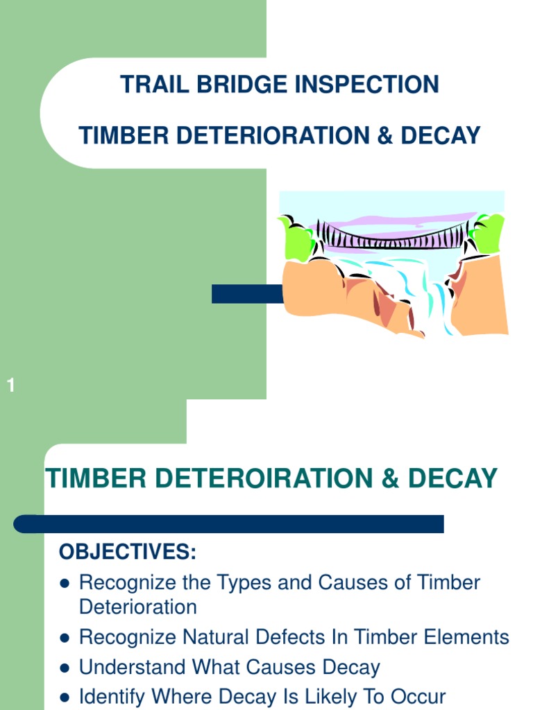 Timber Deterioration Inspection Guide | PDF | Wood | Decomposition