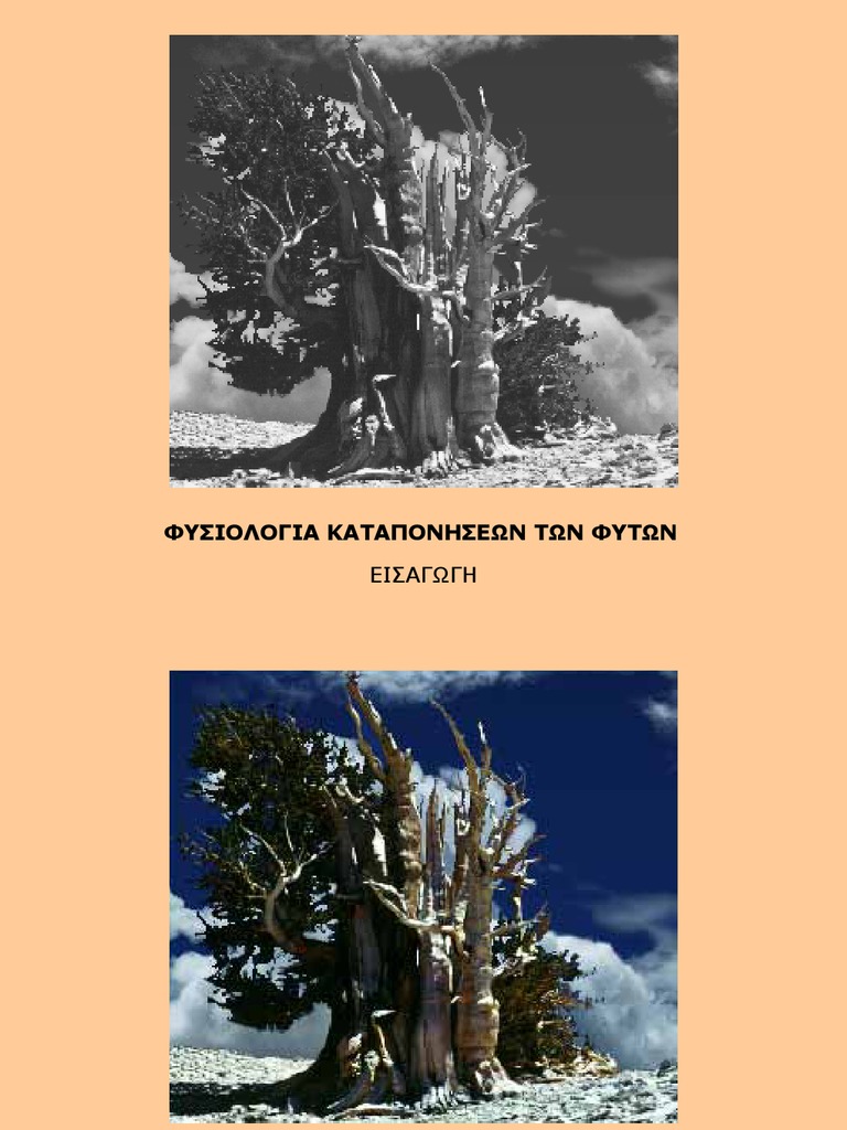 ΦΥΣΙΟΛΟΓΙΑ - ΚΑΤΑΠΟΝΗΣΗ ΦΥΤΩΝ | PDF