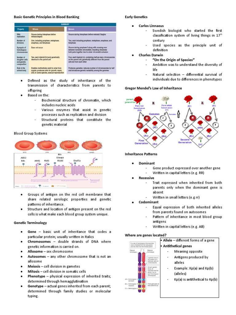 Basic Genetic Principles in Blood Banking | Download Free PDF ...