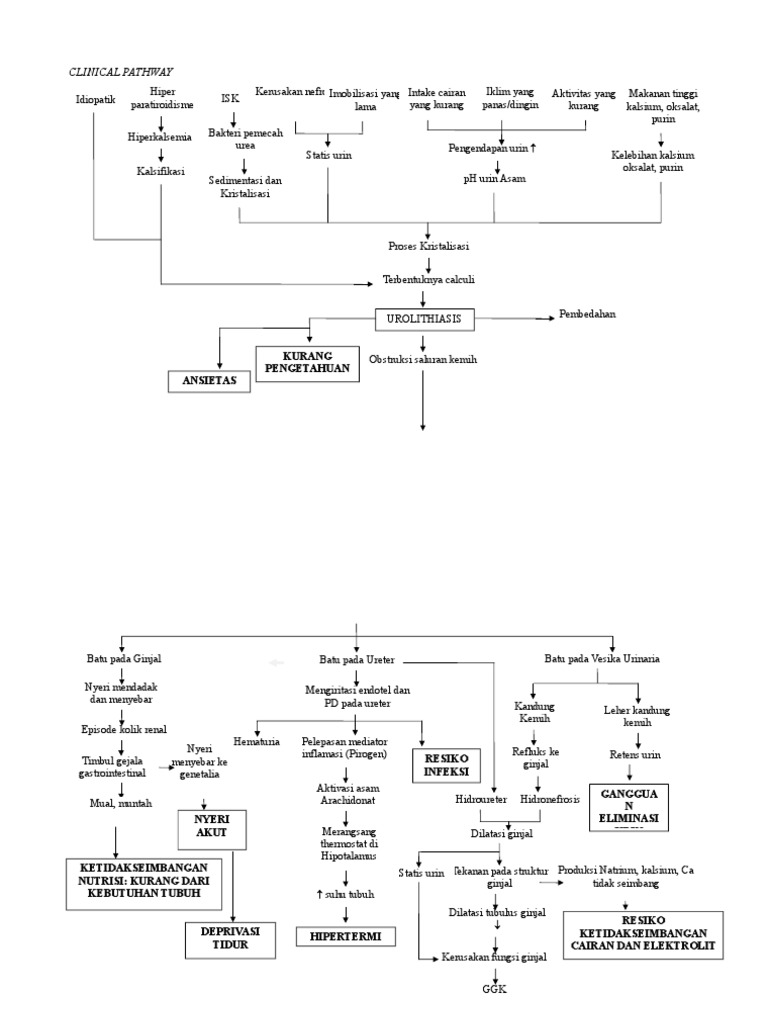 Pathway b20 | PDF