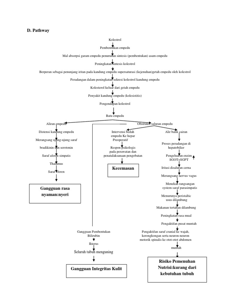 Cuma Print Pathway Cholelitiasis | PDF