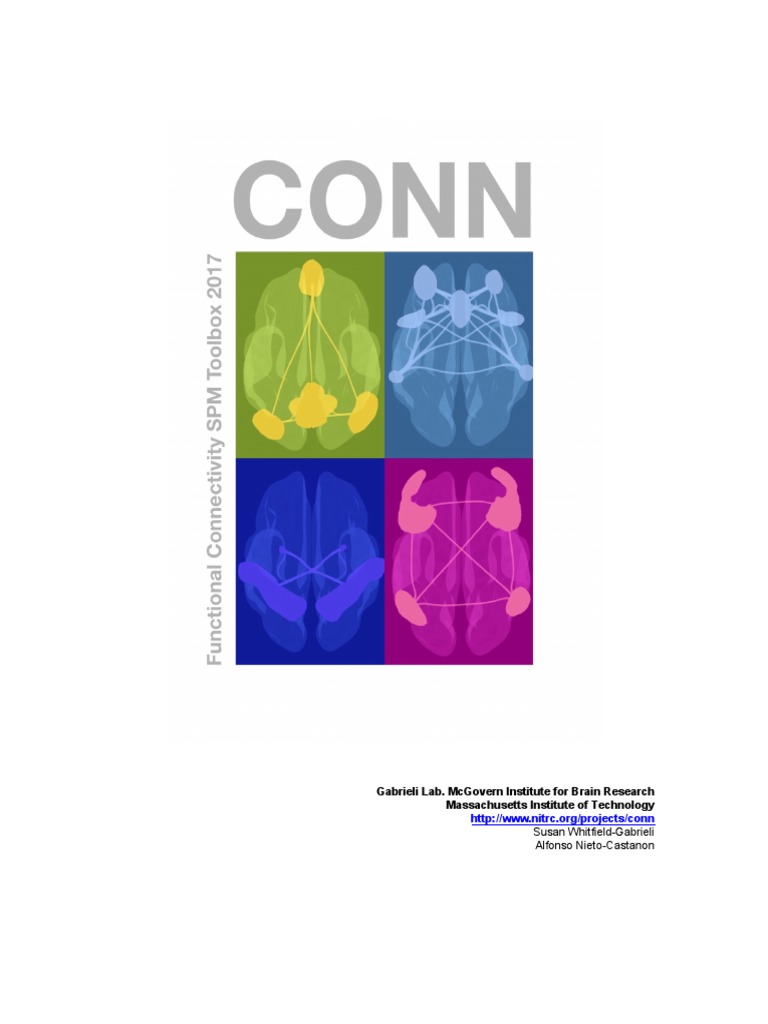 CONN FMRI Functional Connectivity Toolbox Manual v17 | PDF ...