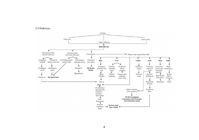 2.5 Pathways | PDF