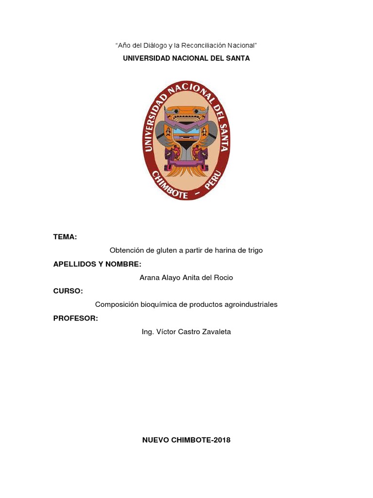 Informe-obtención Del Gluten en La Harina de Trigo | PDF | Panes | Gluten