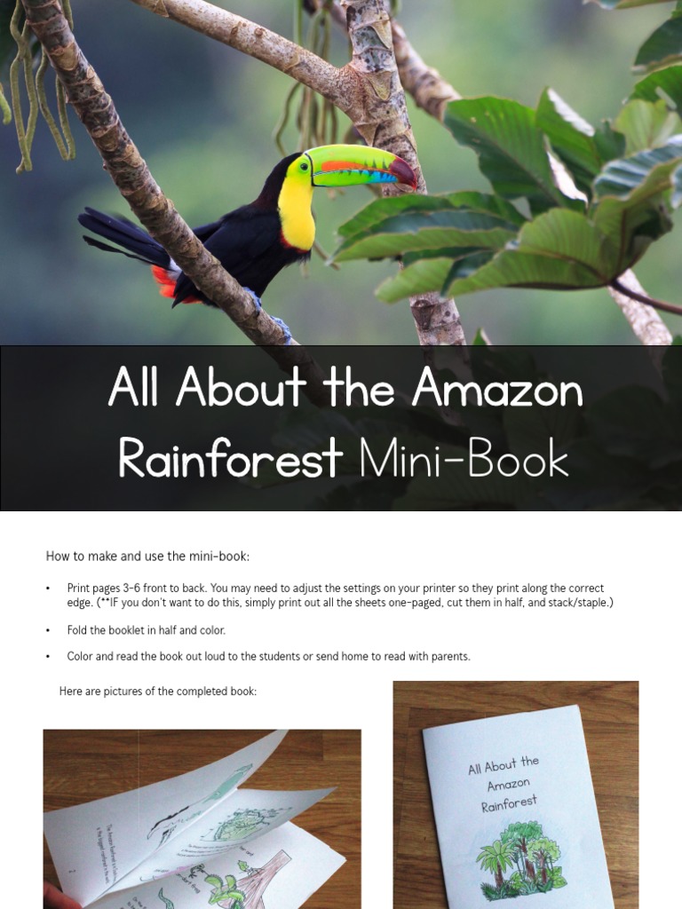 The Rainforest PDF | PDF | Rainforest | Nature