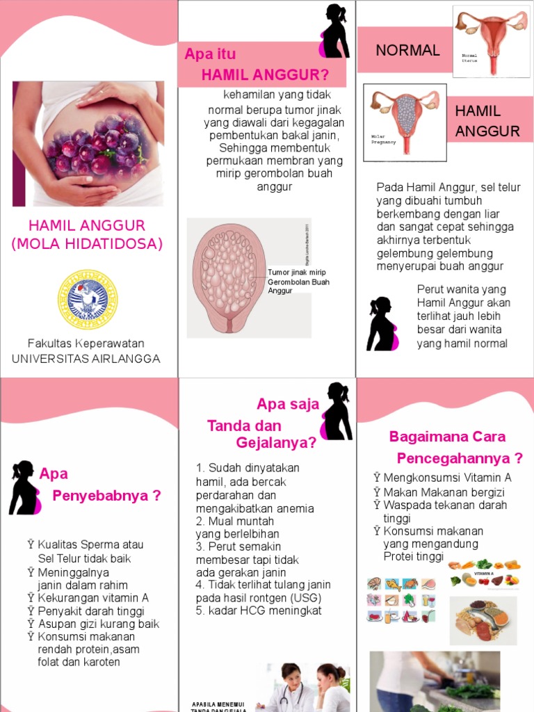 Leaflet Hamil Anggur | PDF