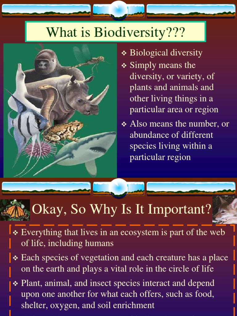 Biodiversity and Classification NL.ppt | Archaea | Bacteria