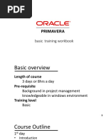 Primavera P6 Book | PDF