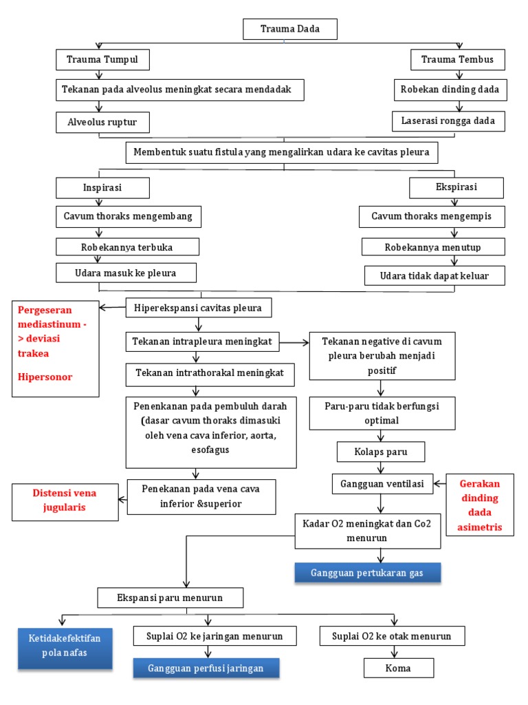 Pathway Pneumothorax | PDF