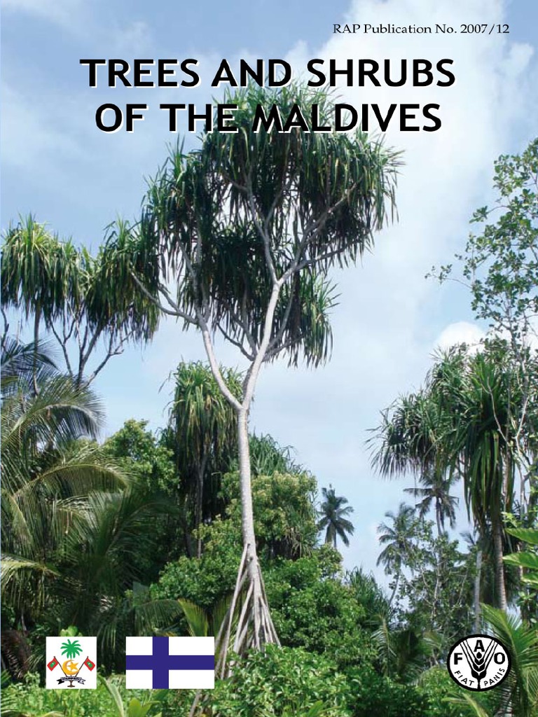 FAO - Trees and Shrubs Maldives 1 PDF | PDF | Leaf | Monsoon