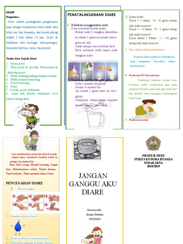 Leaflet Diare Aul | PDF