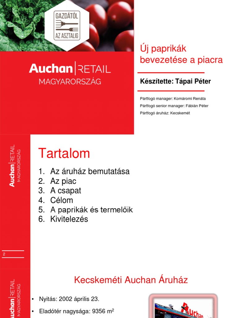 Auchan Retail Magyarország - Template ÚJ | PDF