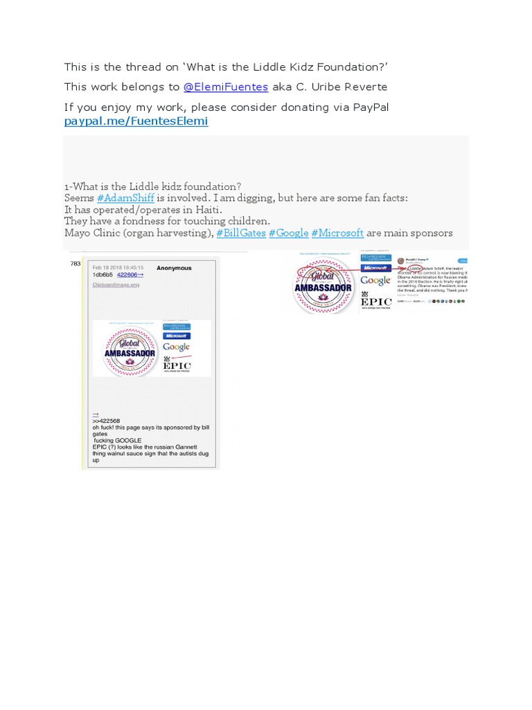 Liddle Kidz Foundation - Adam Shiff | PDF | Violence