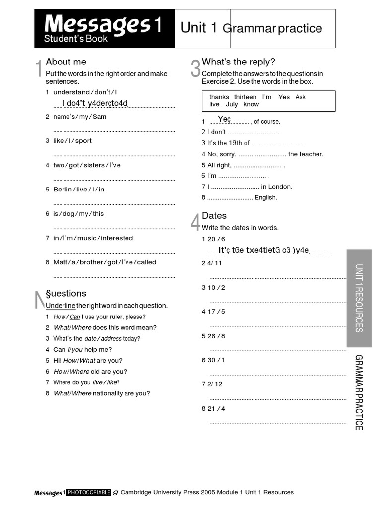 Grammar Practice Exercises | PDF | Grammar | Linguistic Morphology