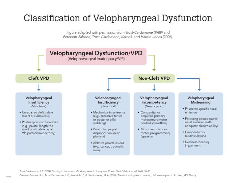 Classification of Velopharyngeal Dysfunction | PDF | Neurological Disorders | Otorhinolaryngology