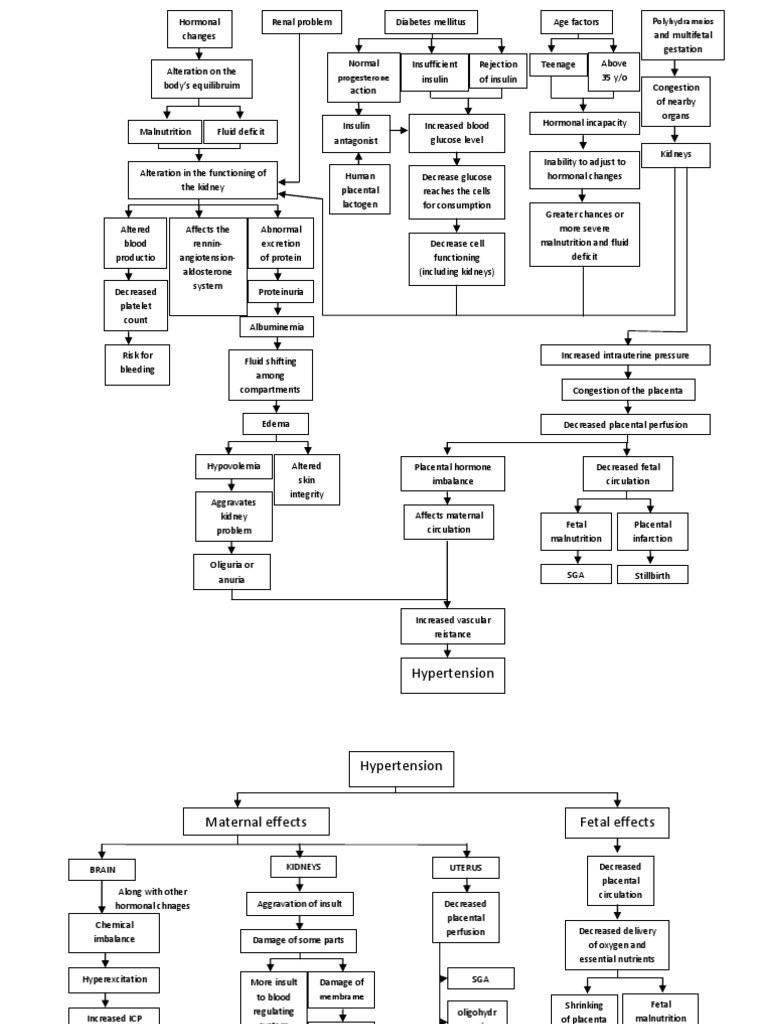 Pathophysiology Pregnancy Induced Hypertension Schematic Dia