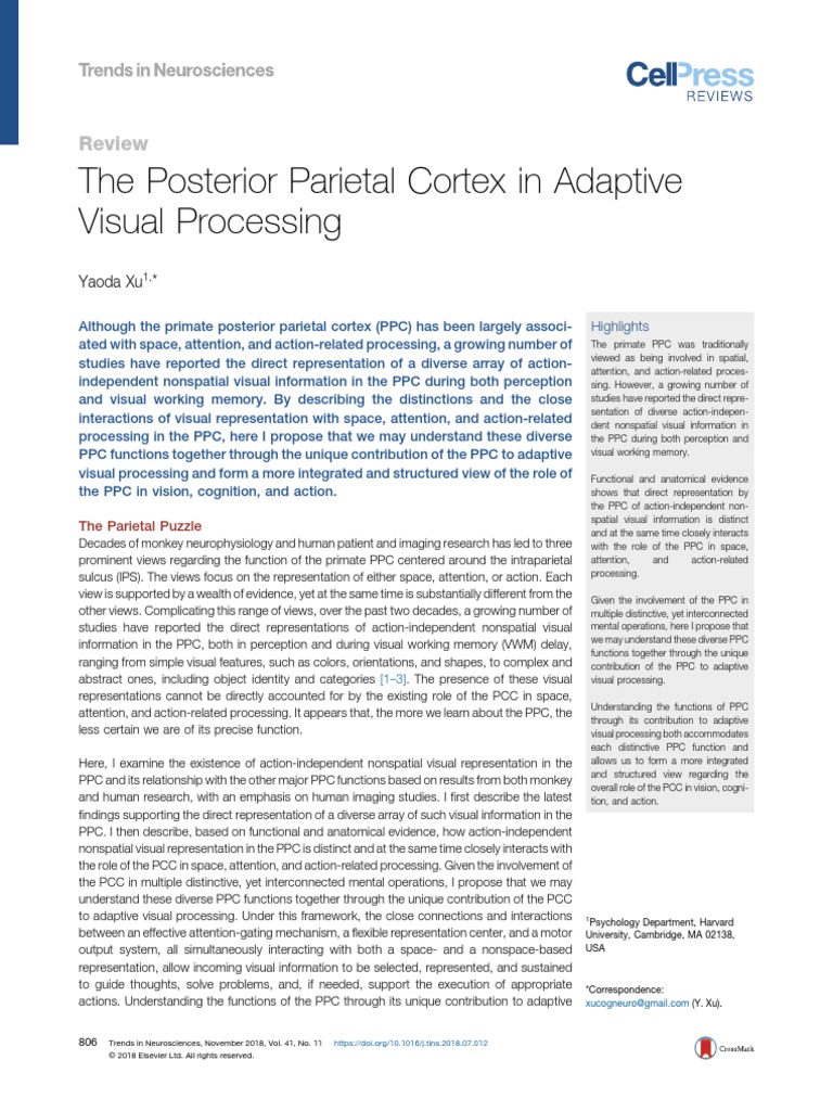 The Posterior Parietal Cortex in Adaptive Visual Processing | PDF ...