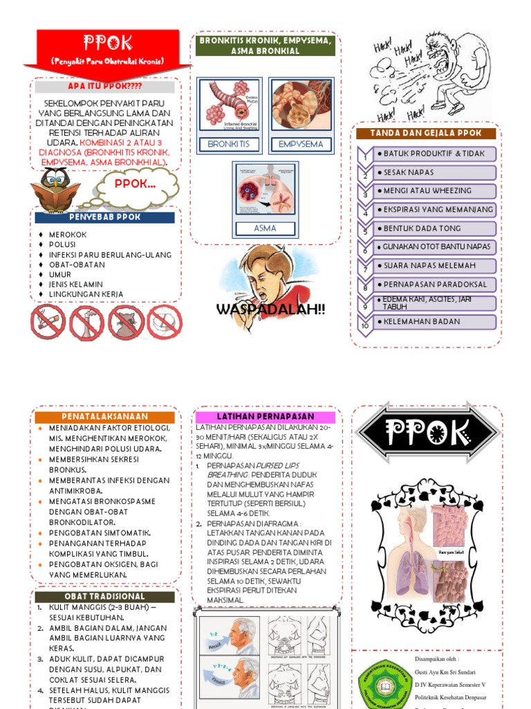 Leaflet Ppok | PDF